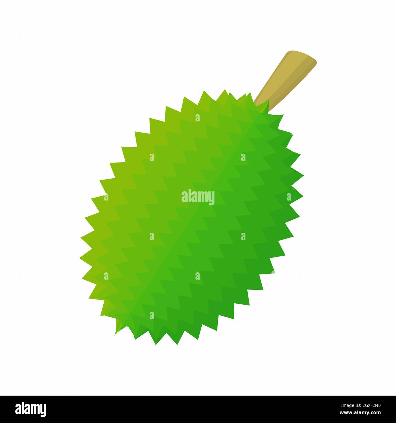 Whole durian icon in cartoon style on a white background Stock Photo ...