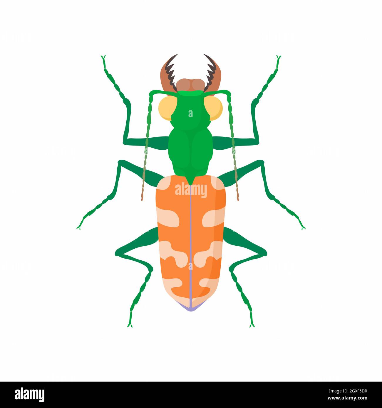 Bug icon in cartoon style isolated on white background Stock Photo - Alamy
