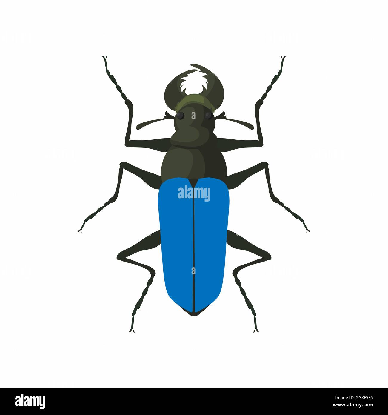 Bug icon in cartoon style isolated on white background Stock Photo - Alamy