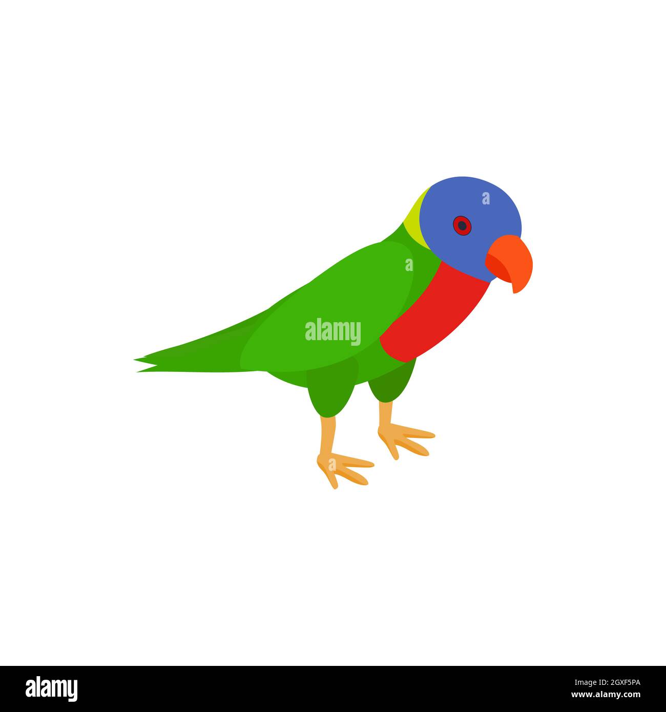 Macaw in circus Cut Out Stock Images & Pictures - Alamy