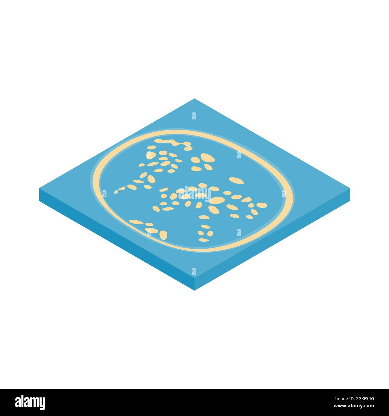 Artificial islands in the UAE icon in isometric 3d style isolated on ...