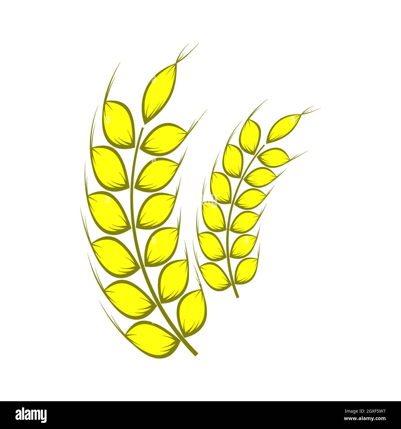 Two stalks of ripe barley icon in cartoon style on a white background ...
