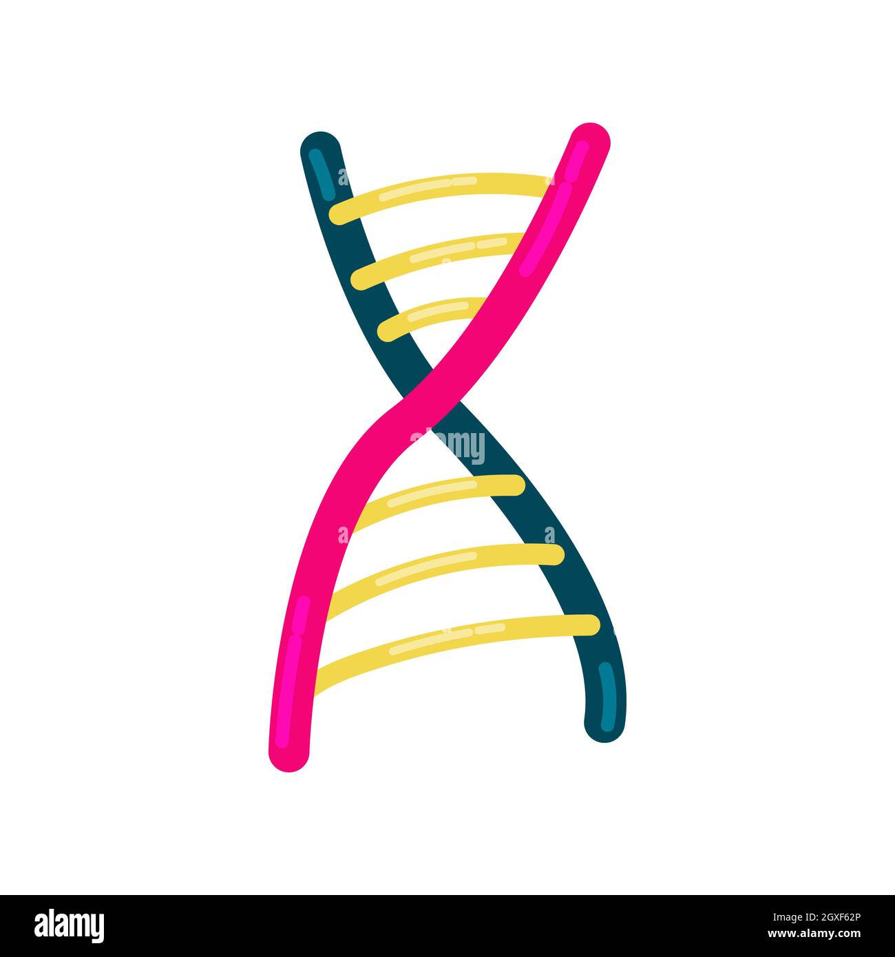 DNA strand icon in cartoon style on a white background Stock Photo - Alamy
