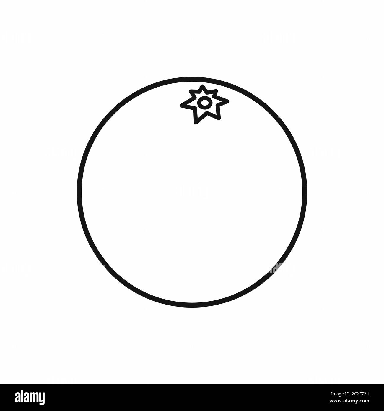 Mandarin icon in outline style isolated on white background Stock Photo ...