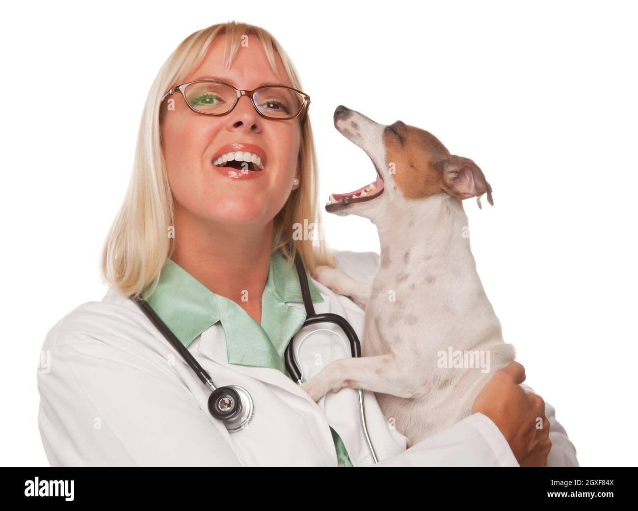 Attractive Female Doctor Veterinarian with Small Puppy Isolated on a ...