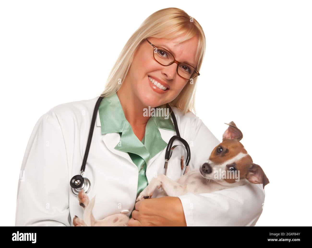 Attractive Female Doctor Veterinarian with Small Puppy Isolated on a ...