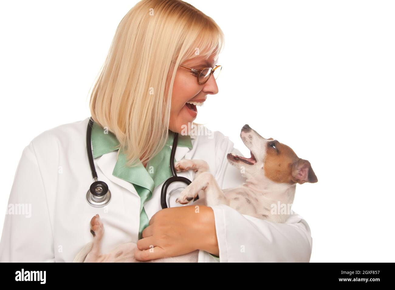 Attractive Female Doctor Veterinarian with Small Puppy Isolated on a ...