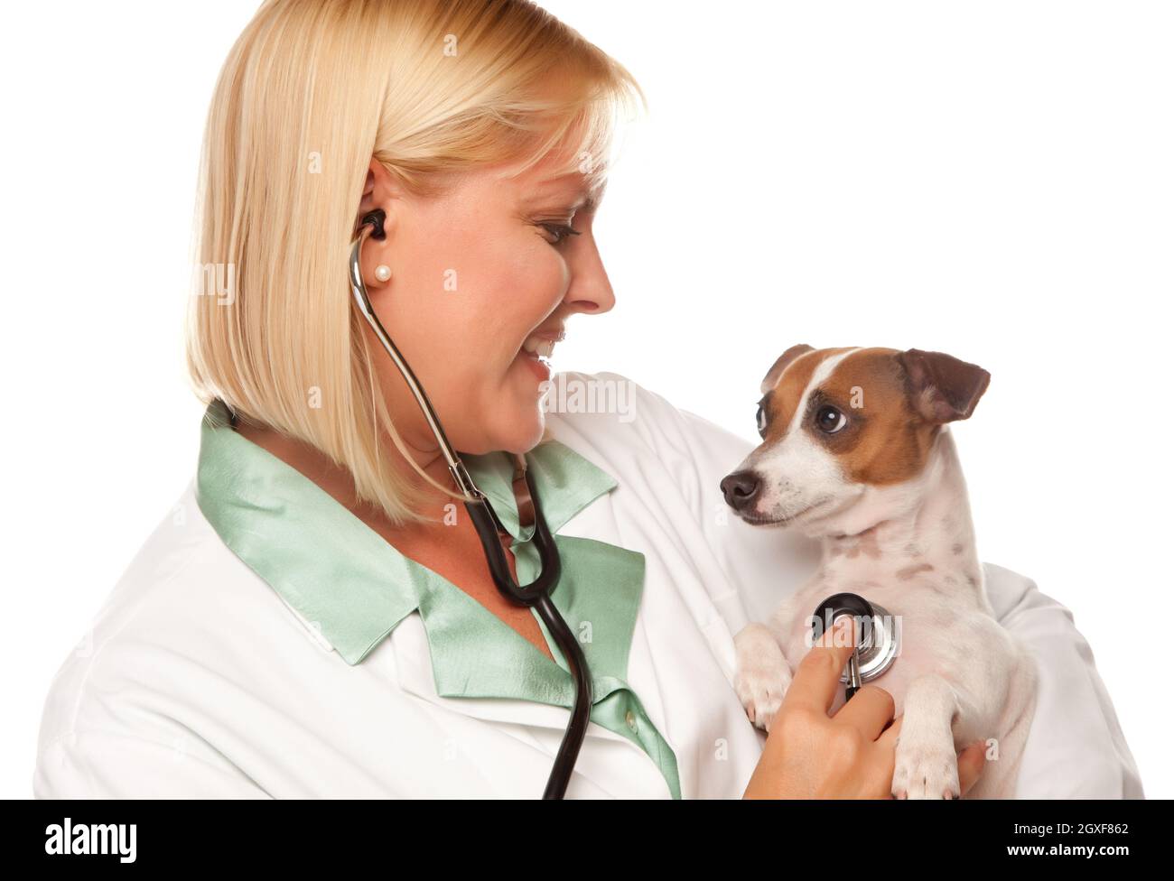 Attractive Female Doctor Veterinarian with Small Puppy Isolated on a ...
