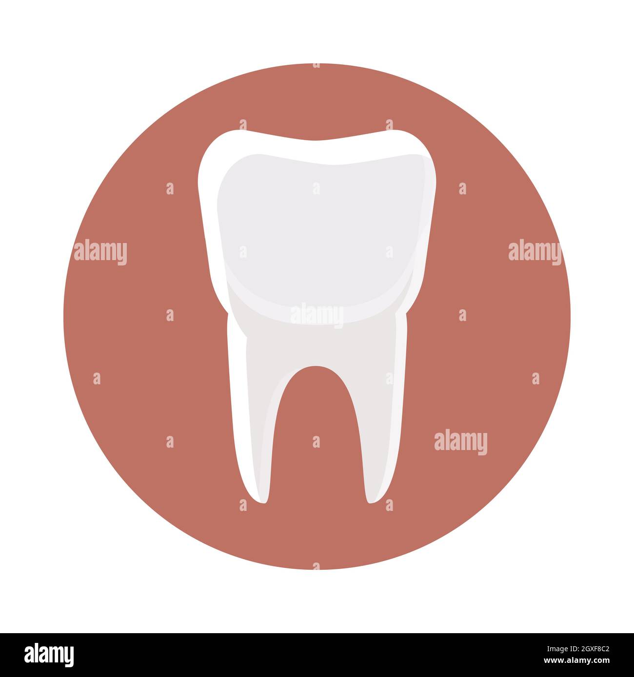 White tooth icon in cartoon style on a white background Stock Photo - Alamy