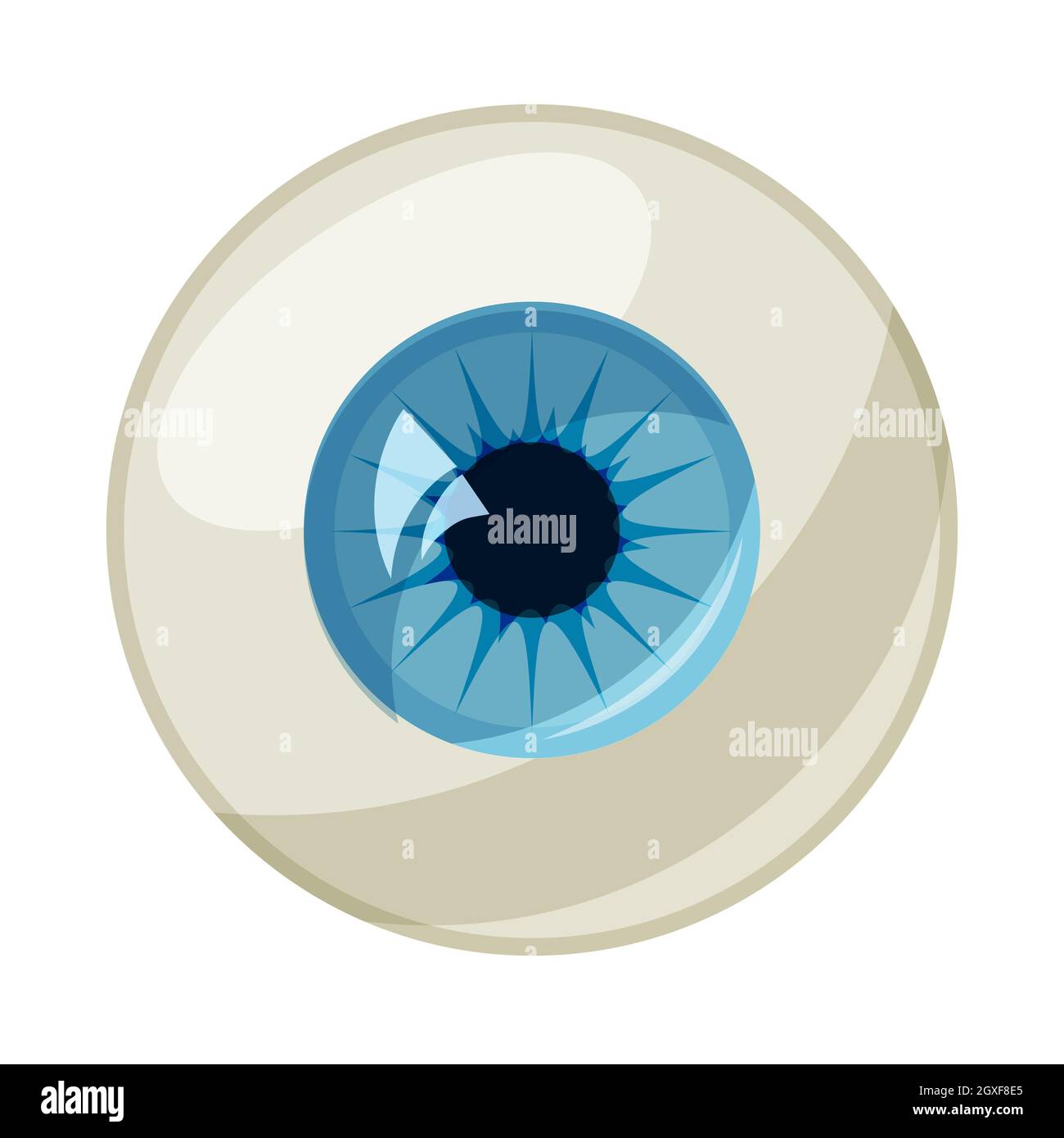Human eye ball icon in cartoon style on a white background Stock Photo ...