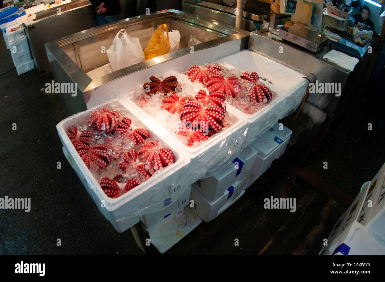 Octopus tsukiji fish market hi-res stock photography and images - Alamy