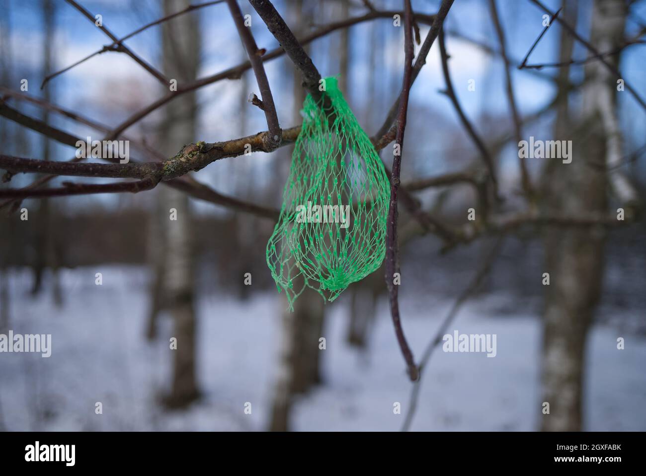 Small green plastic net bag for retail packaging of produce caught in a ...