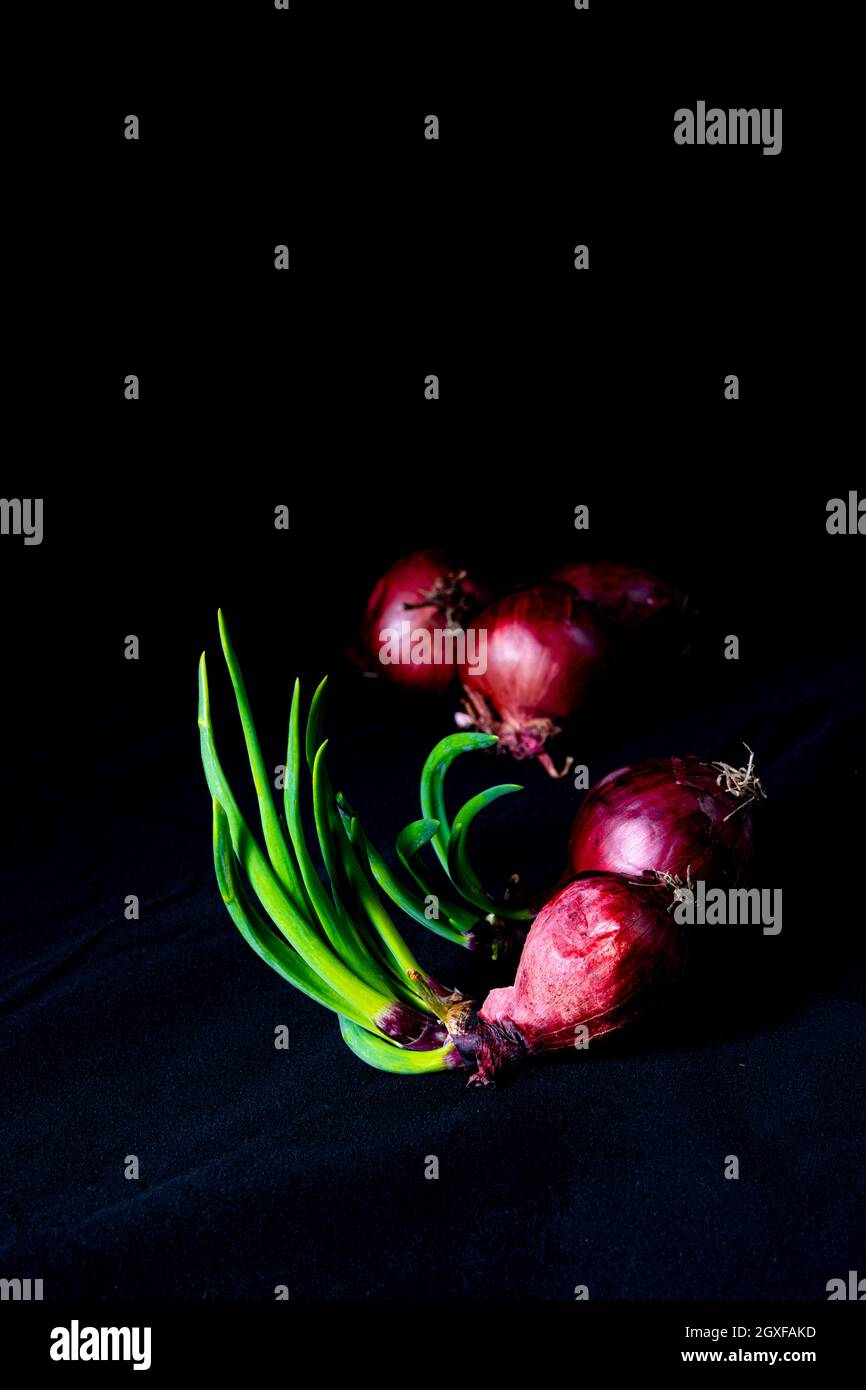 Red onions with green stems Stock Photo - Alamy