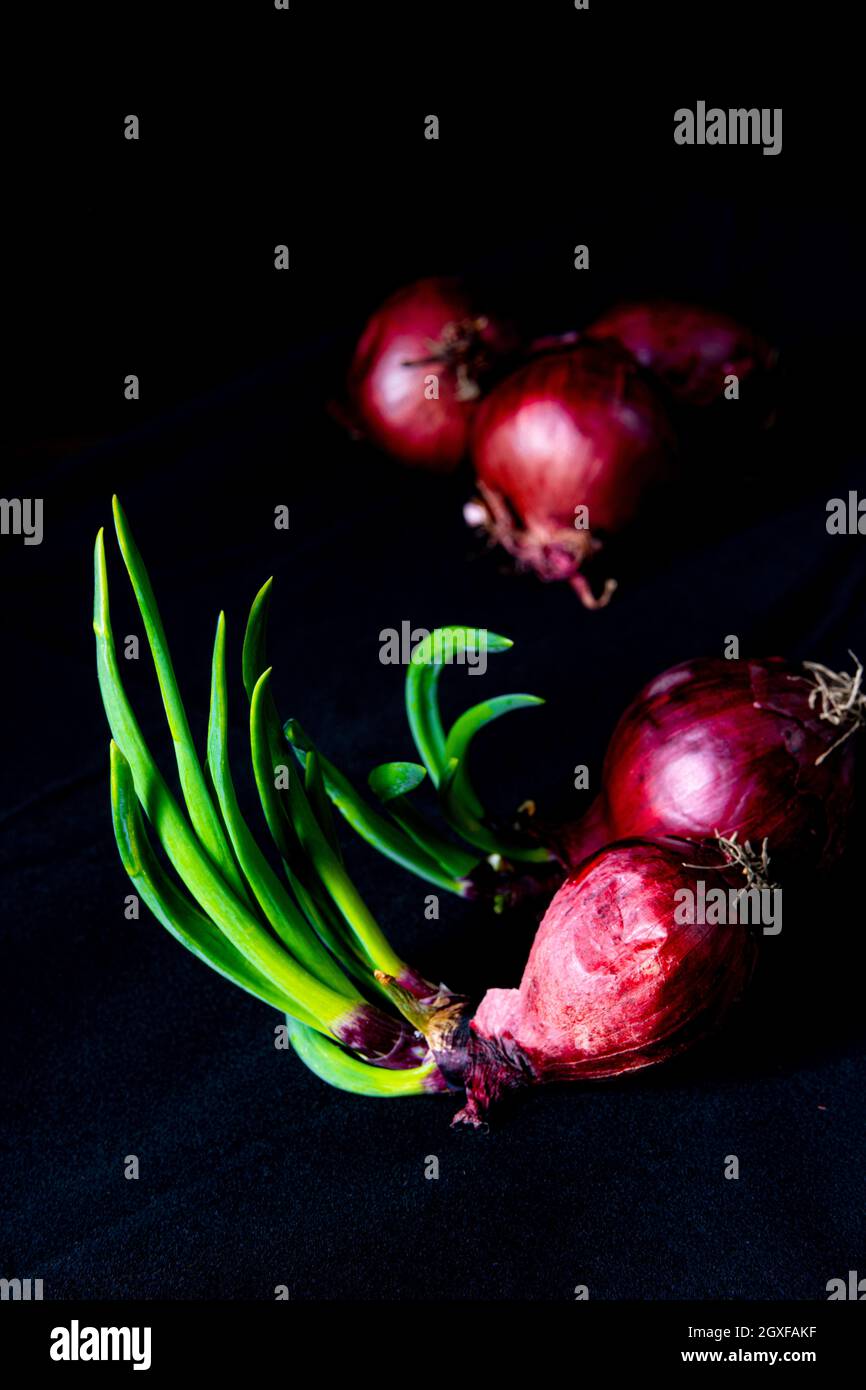 Red onions with green stems Stock Photo - Alamy