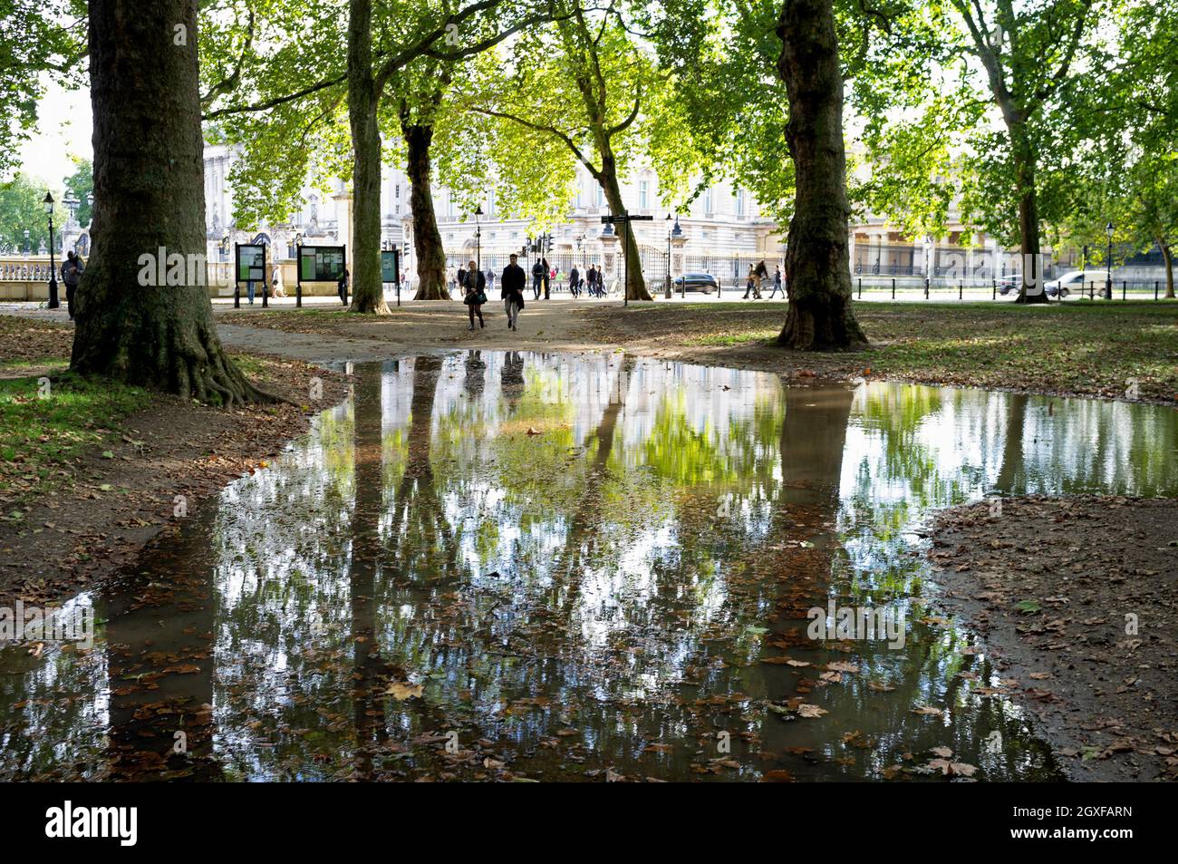A wet day in Green Park, London Stock Photo - Alamy