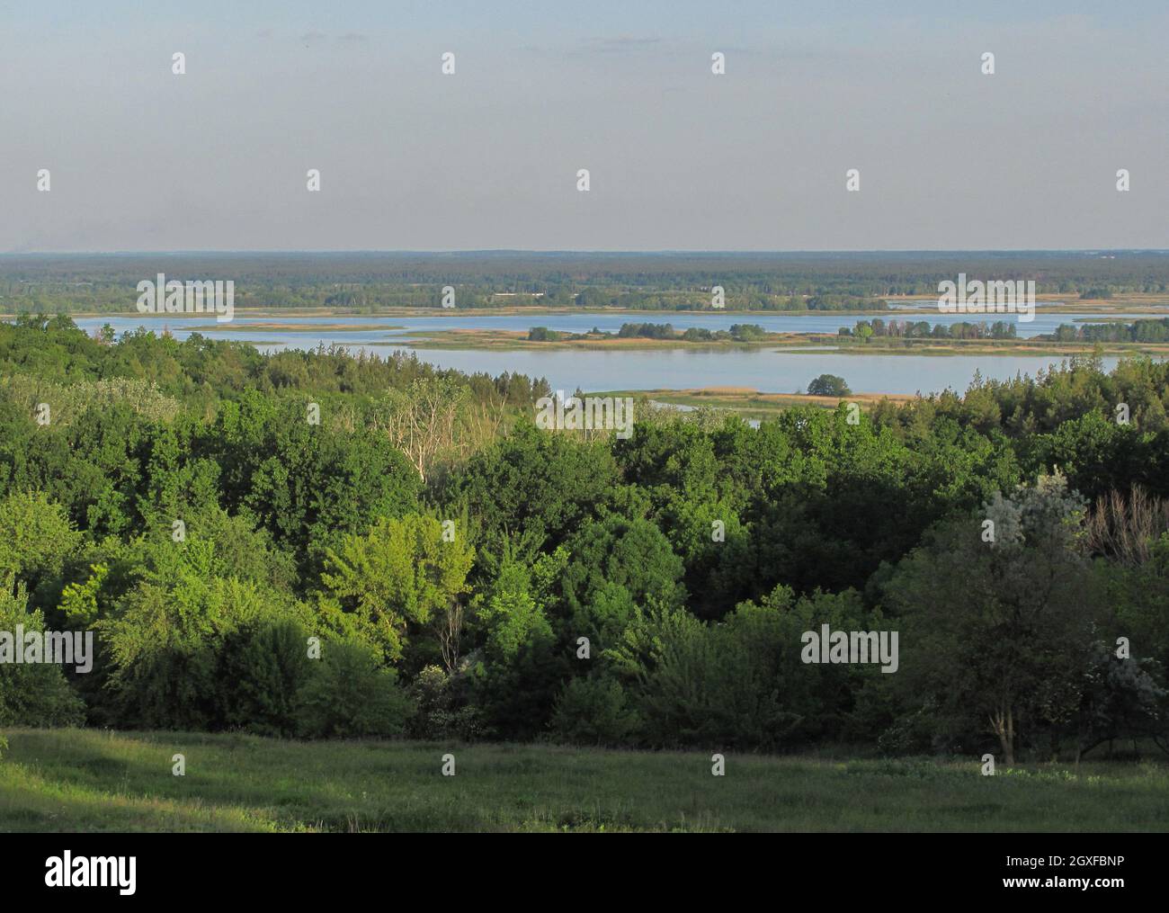 landscape: green trees and a river far away Stock Photo - Alamy