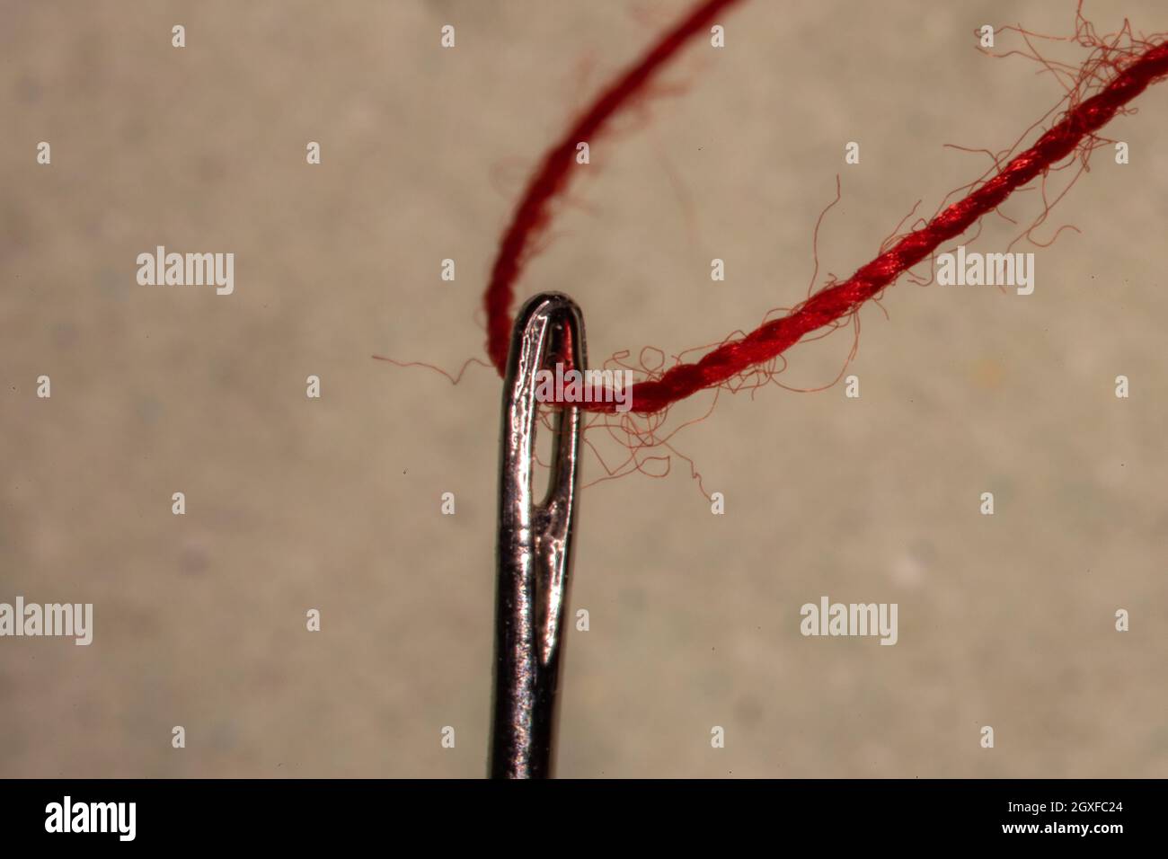 a red thread is threaded into a sewing needle Stock Photo - Alamy