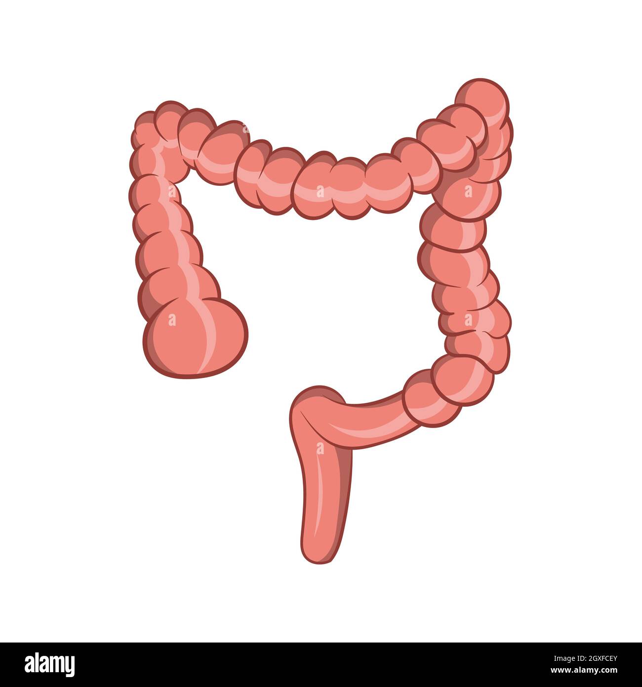 Intestine icon in cartoon style isolated on white background. Human ...