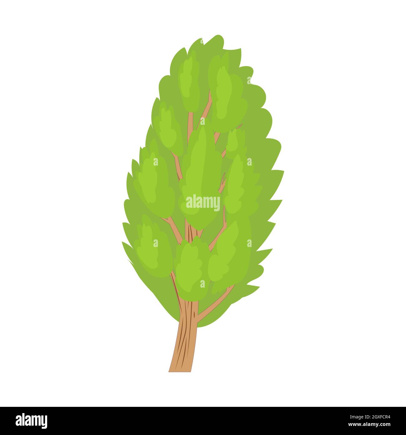 Poplar tree icon in cartoon style on a white background Stock Photo - Alamy