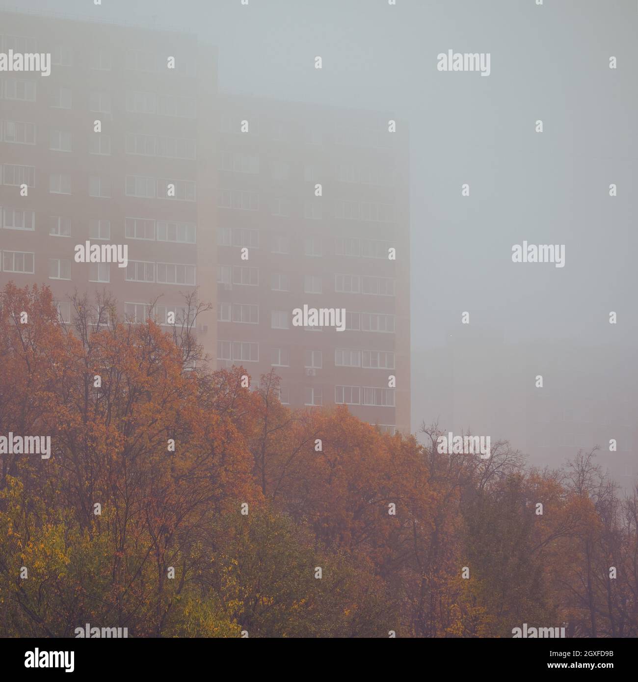 Windows on the facades of high-rise apartment buildings, fog close-up ...