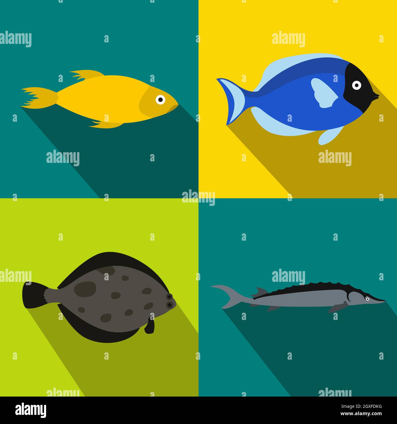 Fish banners set in flat style for any design Stock Photo - Alamy