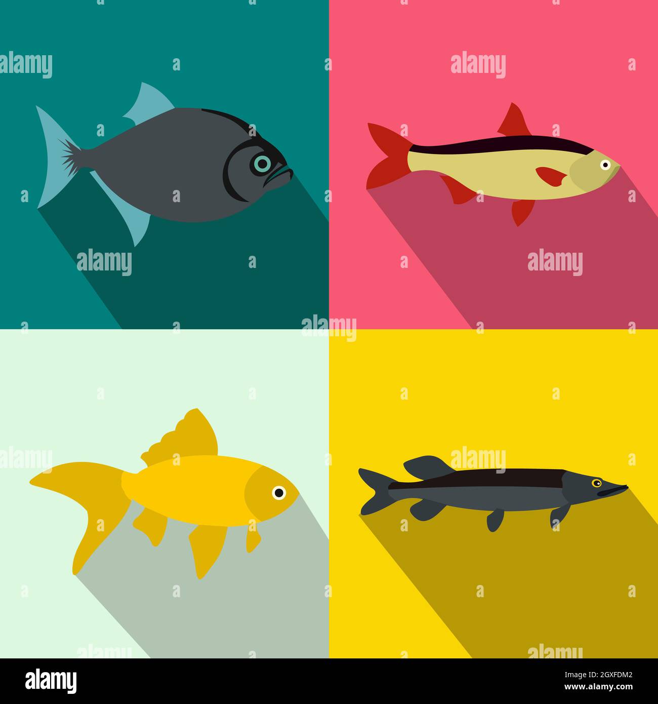 Fish banners set in flat style for any design Stock Photo - Alamy