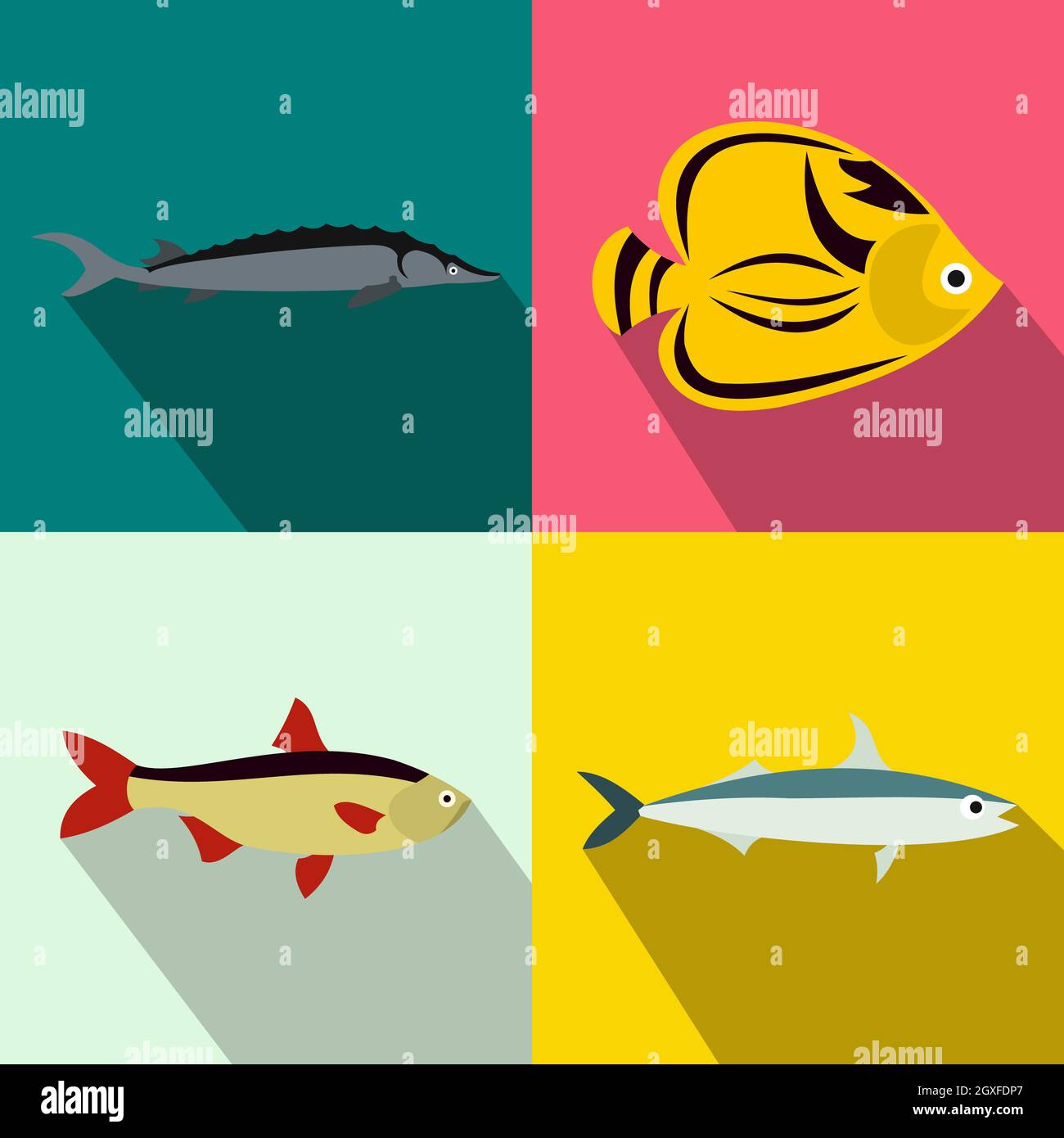 Fish banners set in flat style for any design Stock Photo - Alamy