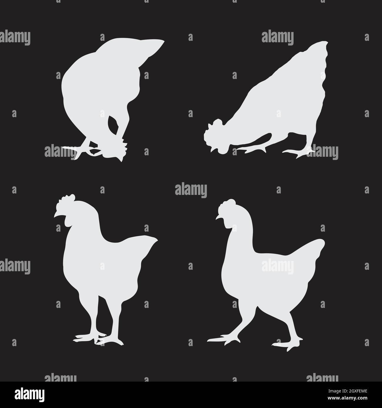 Vector image of chicken on a black background. Easy editable layered ...
