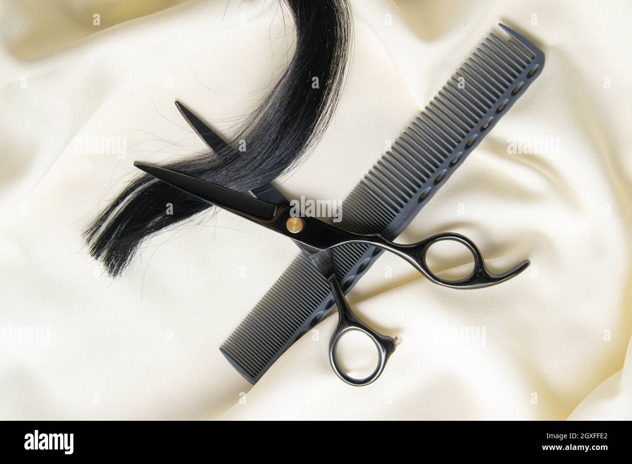 Lock of black hair ready for trim with comb and scissors. The hair is ...