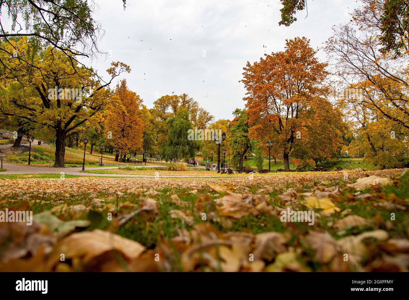 (211005) -- RIGA, Oct. 5, 2021 (Xinhua) -- Photo taken on Oct. 5, 2021 shows the autumn scenery ...