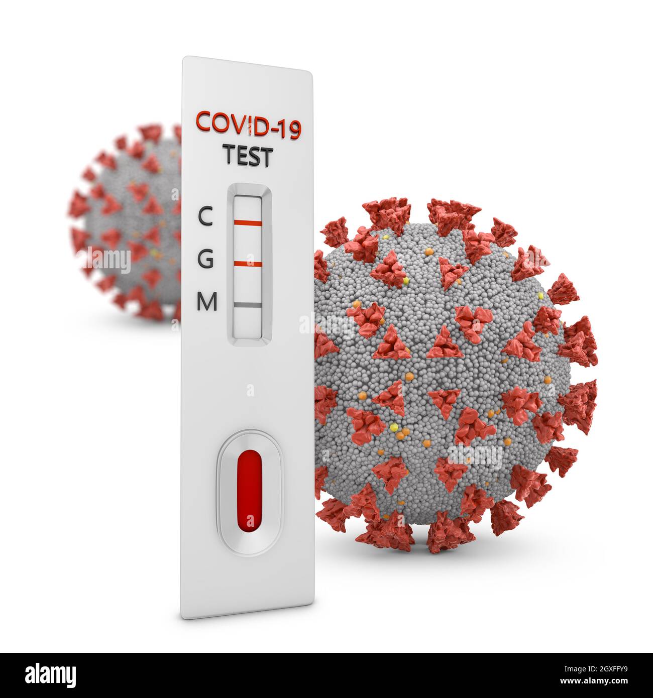 Rapid test for the detection of antibodies and coronavirus molecule on ...