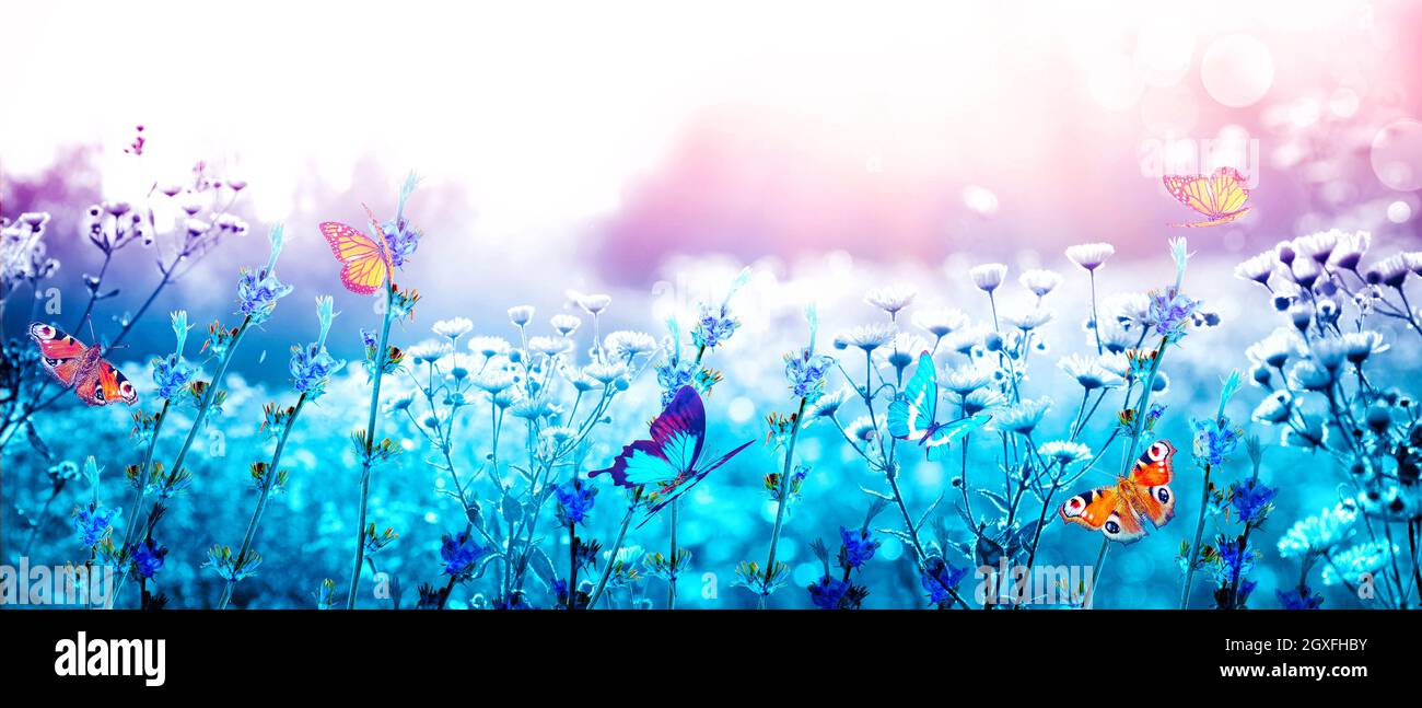Flying butterfly in spring morning. Panoramic view Stock Photo - Alamy