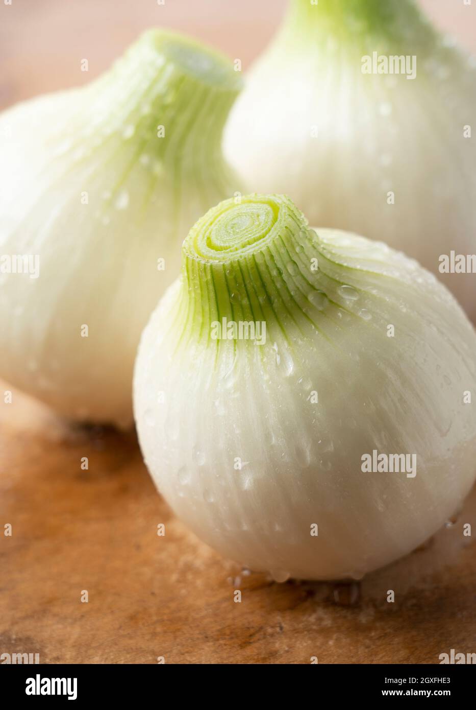 Cutting onions water hi-res stock photography and images - Alamy