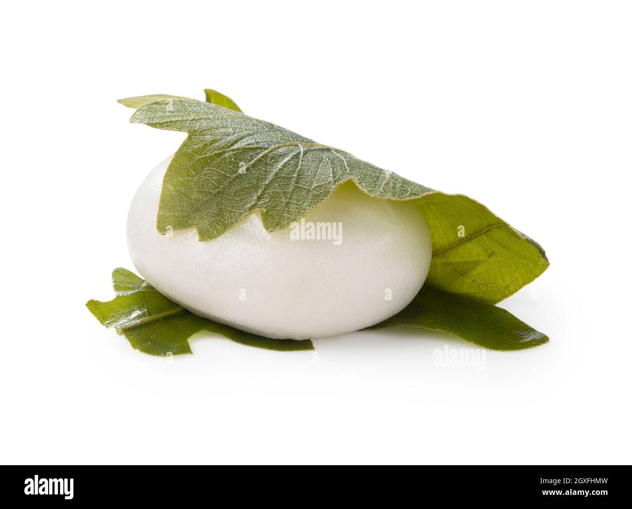Kashiwa-mochi rice cake placed on a white background. Kashiwa Mochi is ...