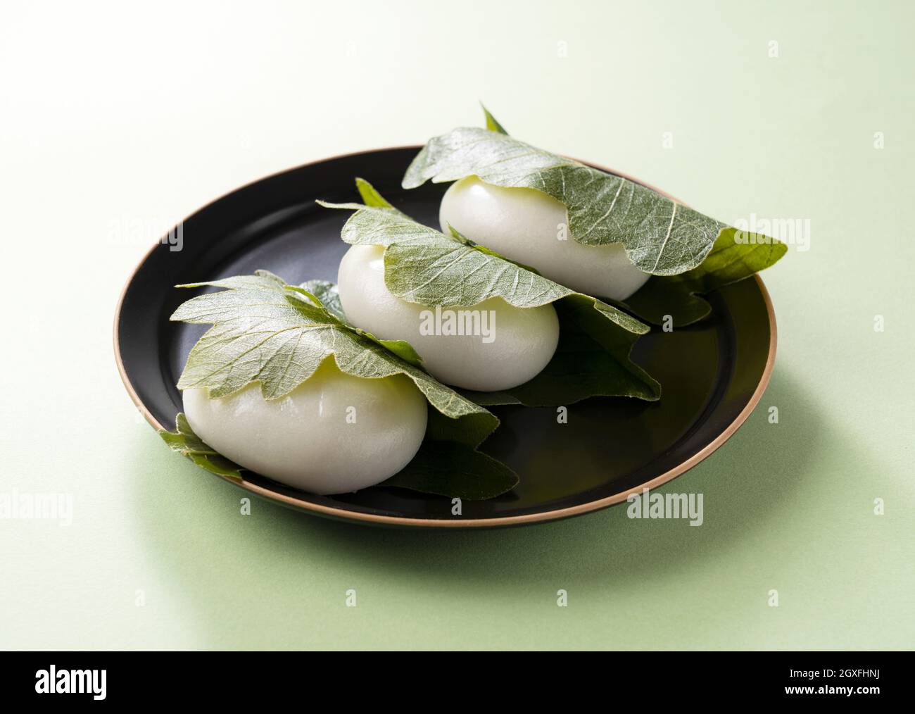 Kashiwa Mochi (rice cake) placed on a green background. Kashiwa Mochi ...