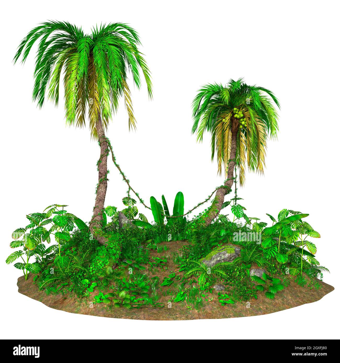3D rendering of palm trees isolated on white background Stock Photo - Alamy