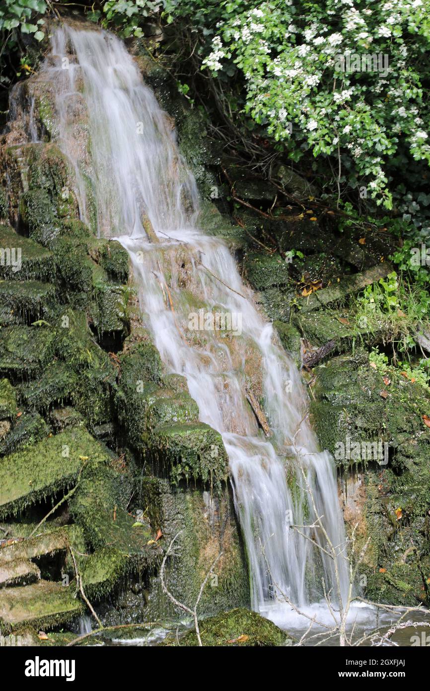 Waterfall over moss covered stones into a pond surrounded by trees and ...