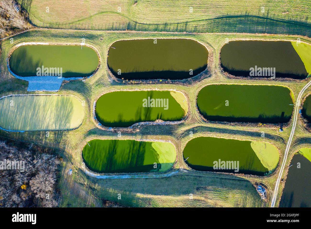 Top-down view of sewage treatment lagoons near Georgetown, Kentucky ...