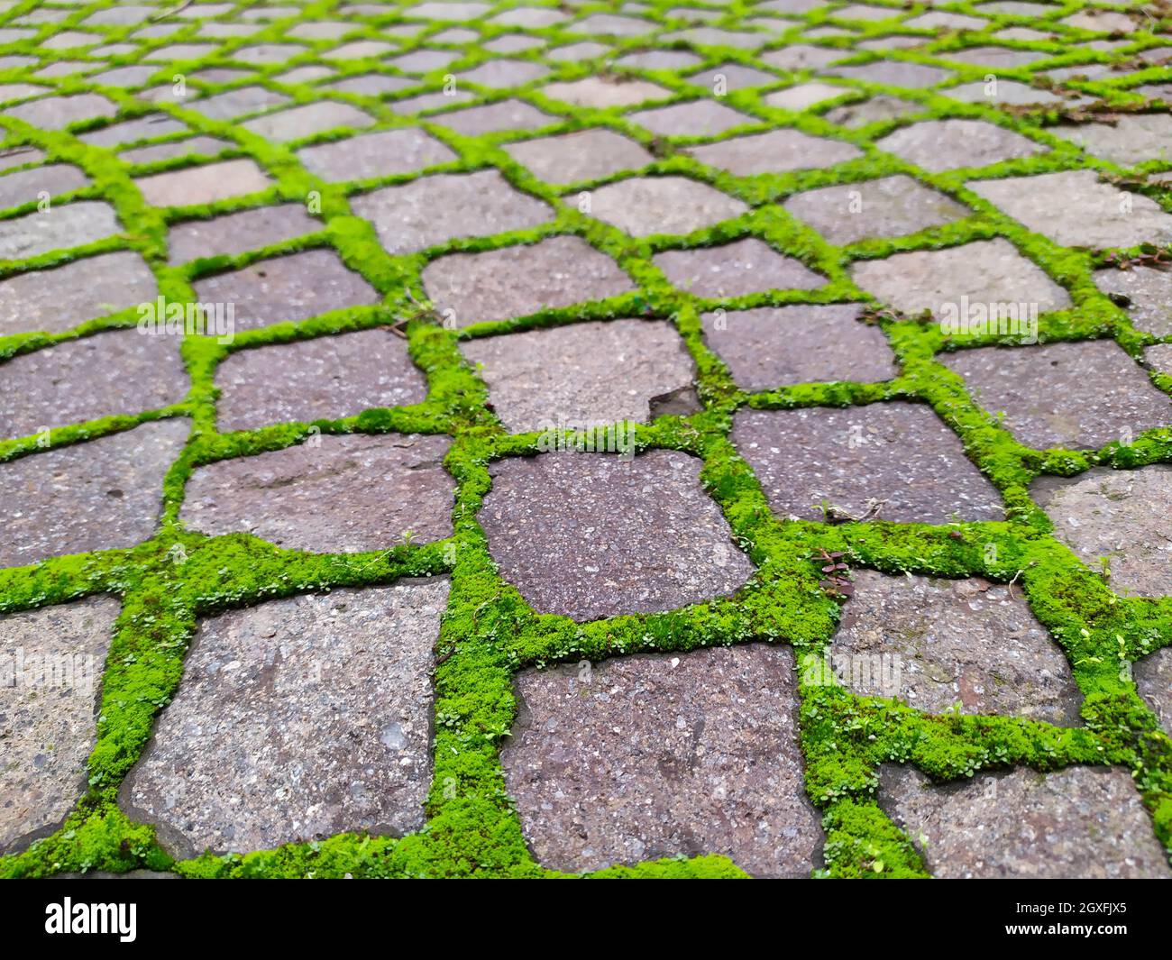 Traditional Italian brick ground view. High quality photo Stock Photo ...