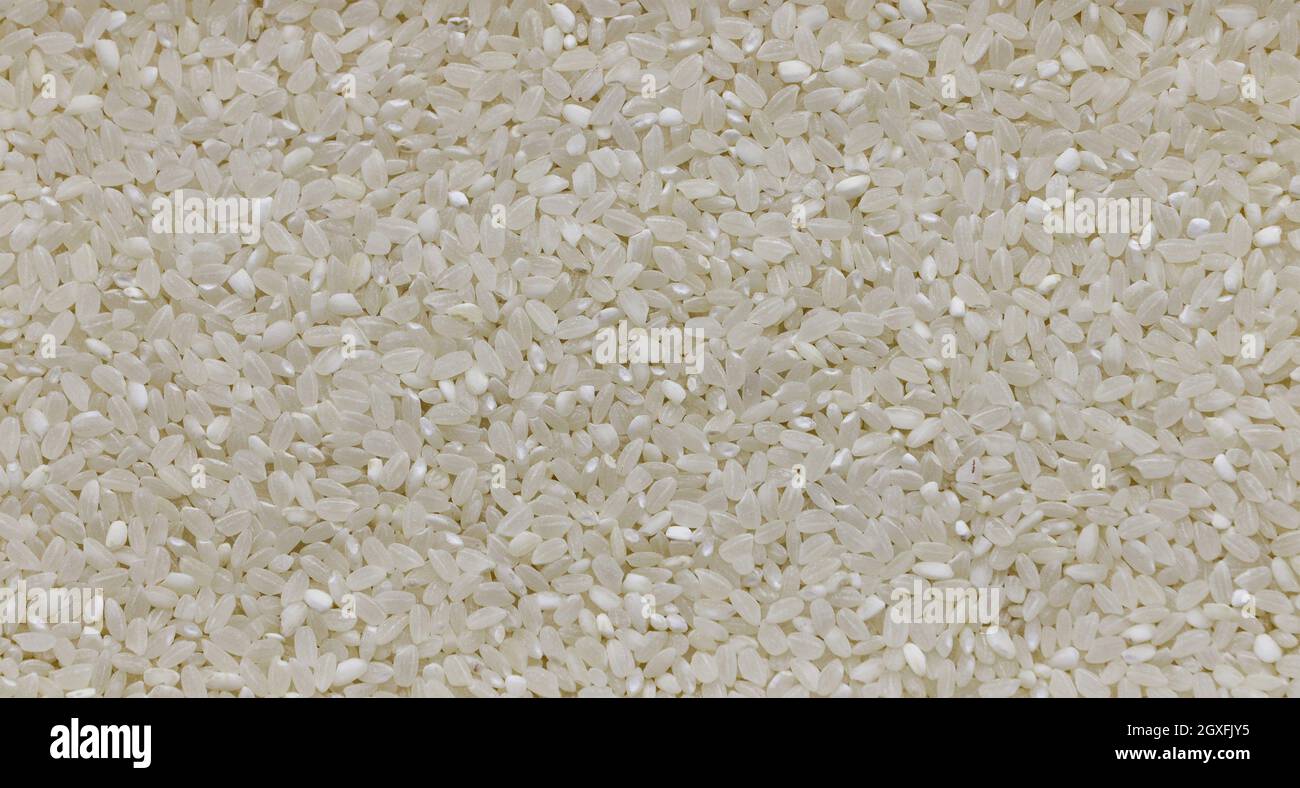 Scattered grains of round harvested rice Stock Photo - Alamy