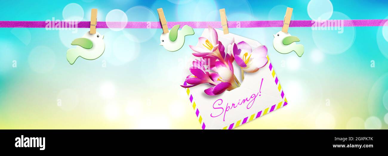 Delicate spring flowers snowdrops. Spring floral background Stock Photo ...