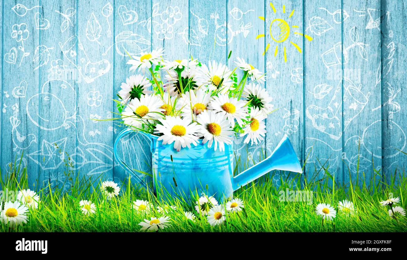 Spring flowers in watering can. Gardening tools and equipment Stock ...