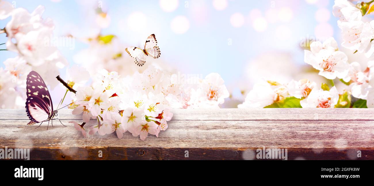 Beautiful nature scene with blooming flowers tree Stock Photo - Alamy