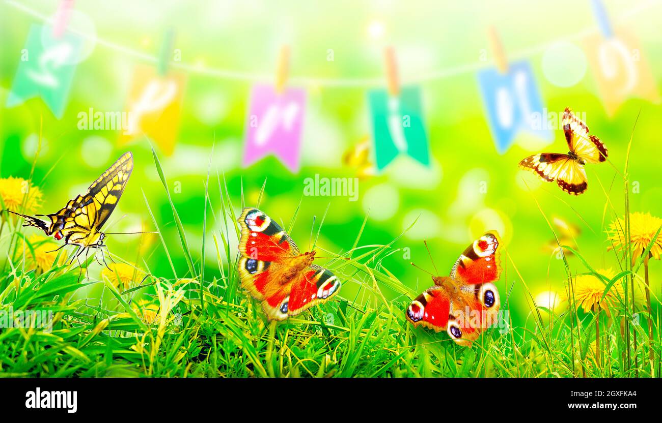 Decorative inscription with letters. Creative spring concept Stock ...