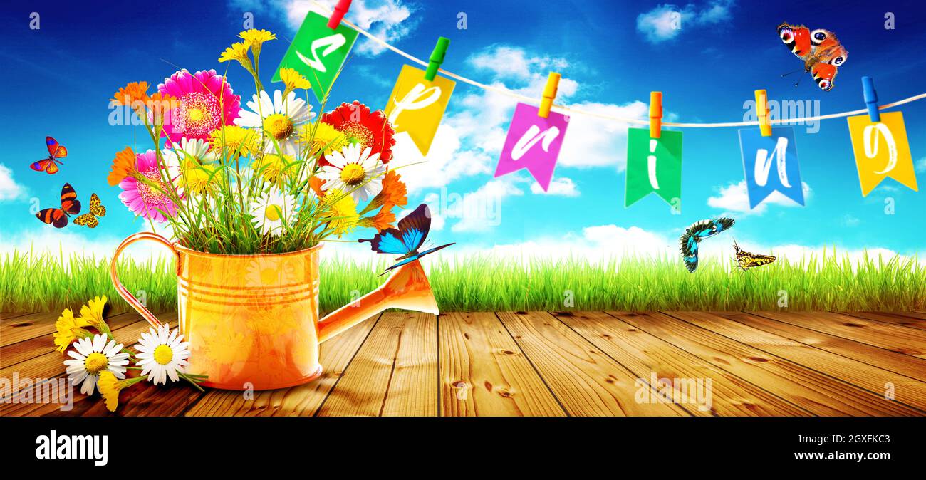 Spring flowers in watering can. Gardening tools and equipment Stock ...