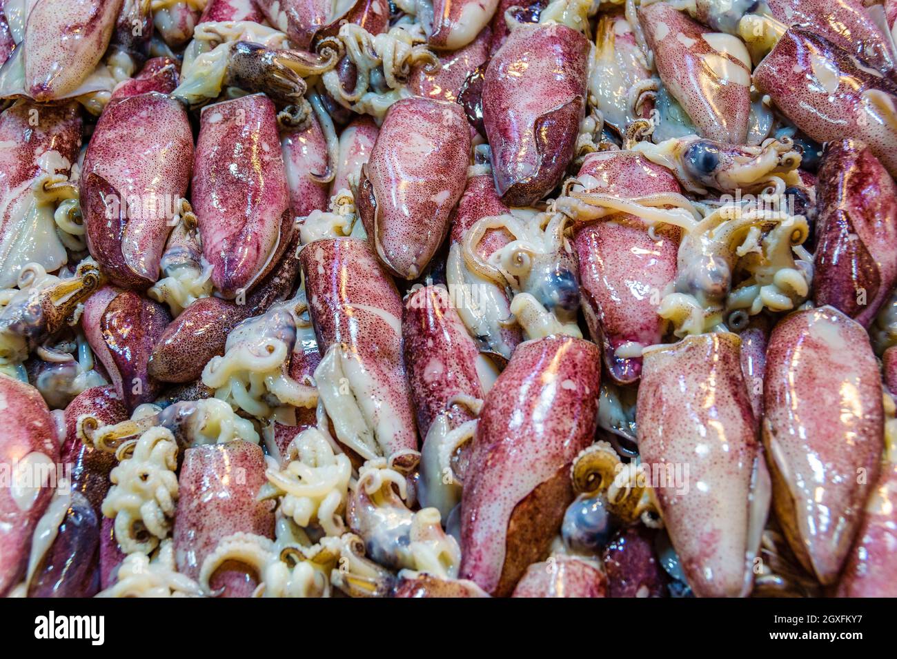 Squids on sale at traditional central market at athens city, greece ...