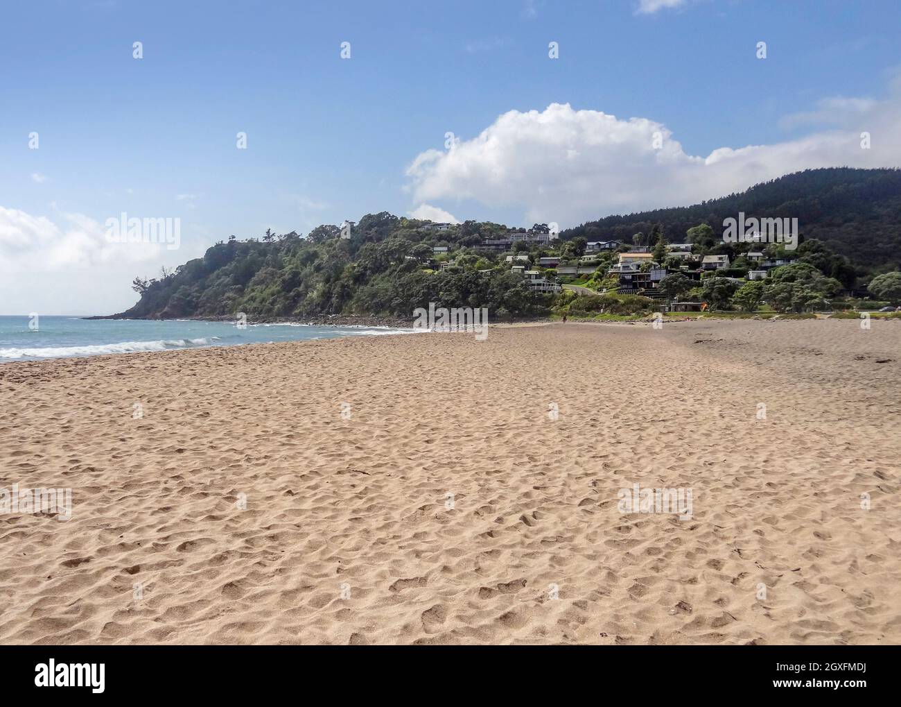 Coastal beach scenery at Coromandel in New Zealand Stock Photo - Alamy