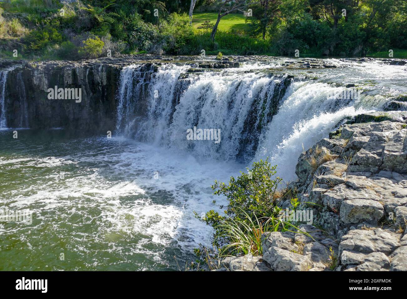 Sunny scenery at the Haruru Falls in New Zealand Stock Photo - Alamy