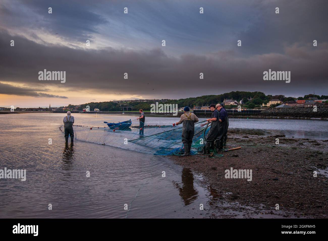 Early morning on the River Tweed net and coble traditional fishing at ...