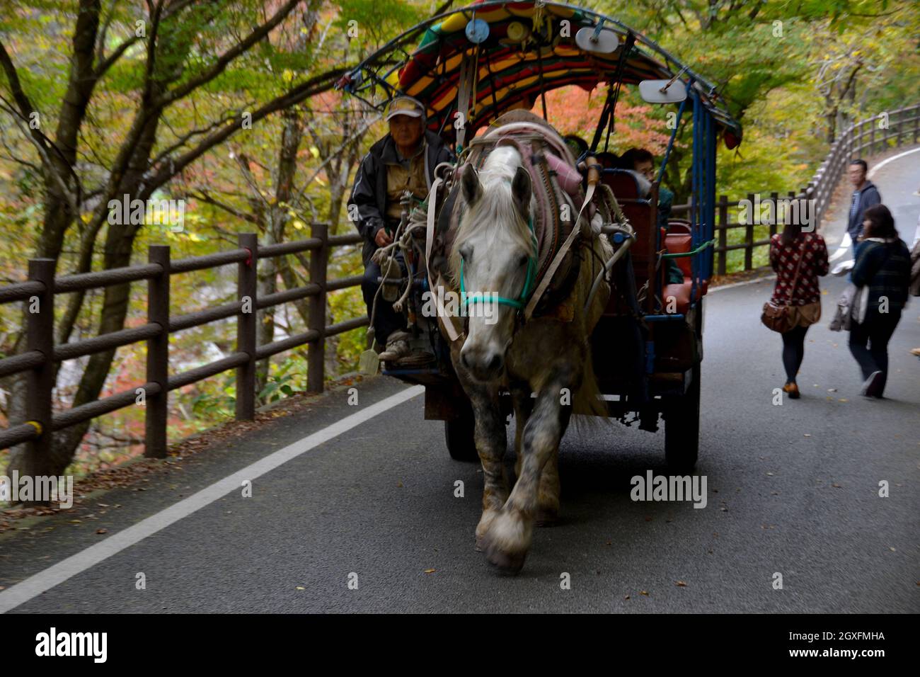 A horse-drawn two-wheeled chariot carries visitors at the Shosenkyo ...